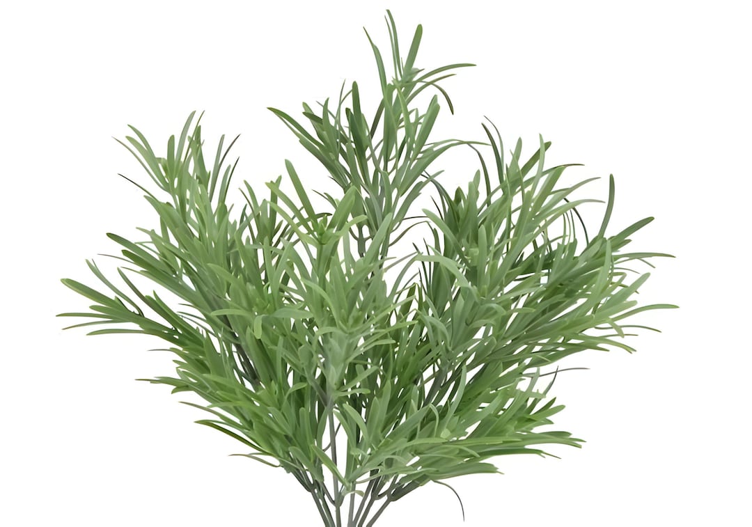 14" Faux Rosemary Plant, Dusty Green Herb Bush, Kitchen Decor - Etsy