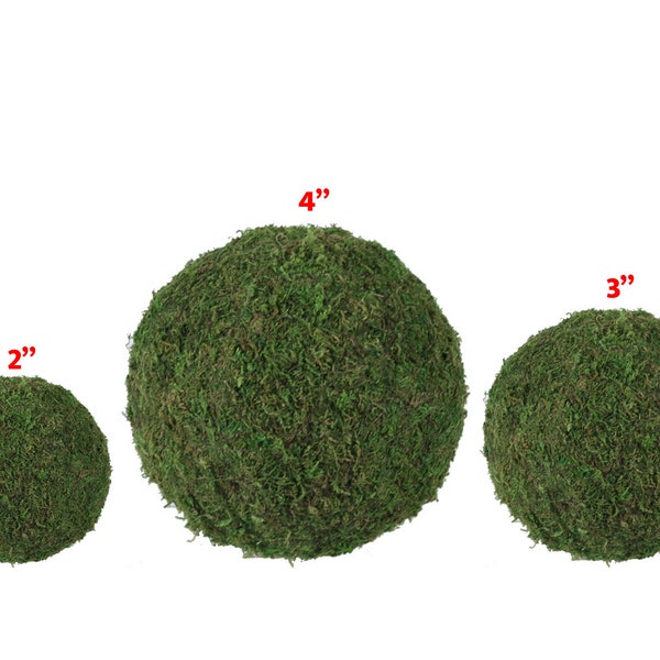 Moss Ball - Etsy