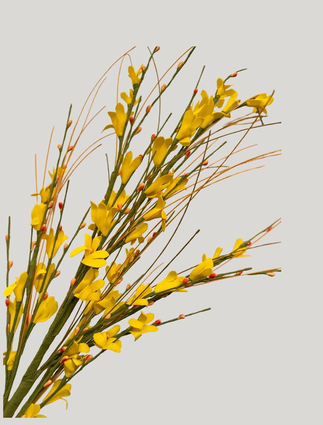 Artificial Forsythia Stems - 32" - Etsy