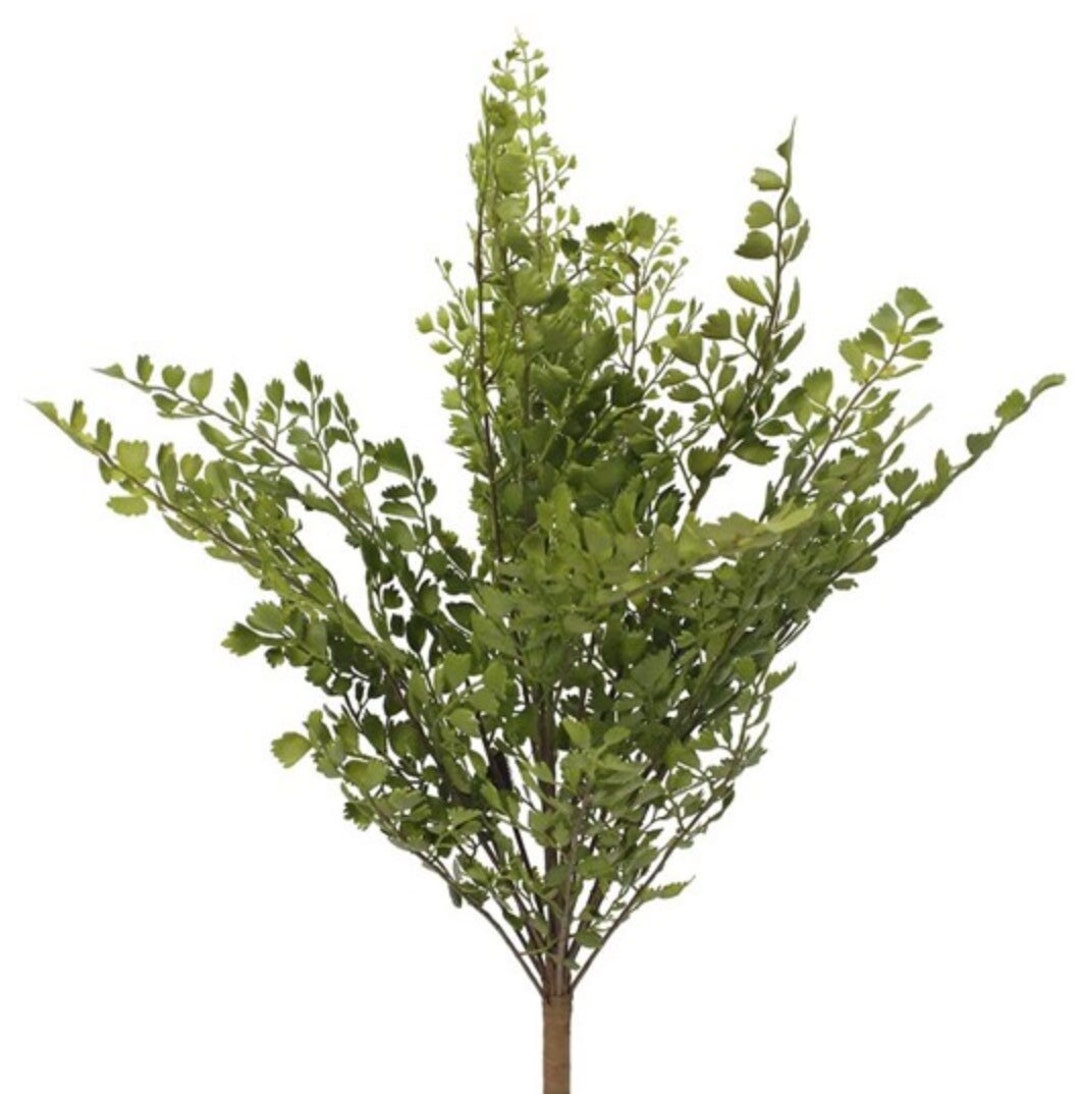 18" Maiden Hair Fern Bush, Faux Greenery, Artificial Plant, Vase Filler ...
