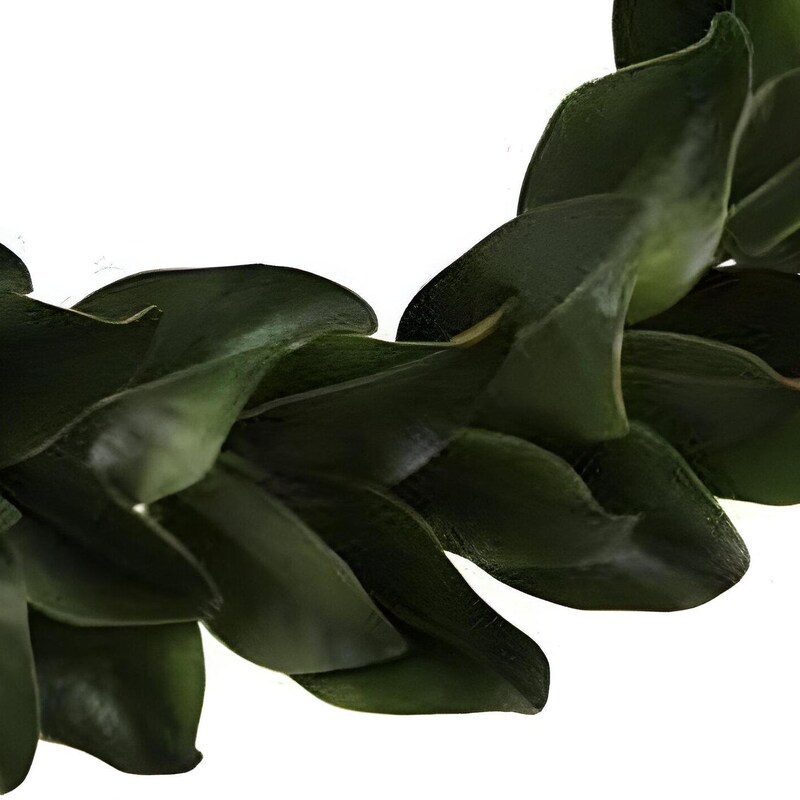 Magnolia Garland - Etsy