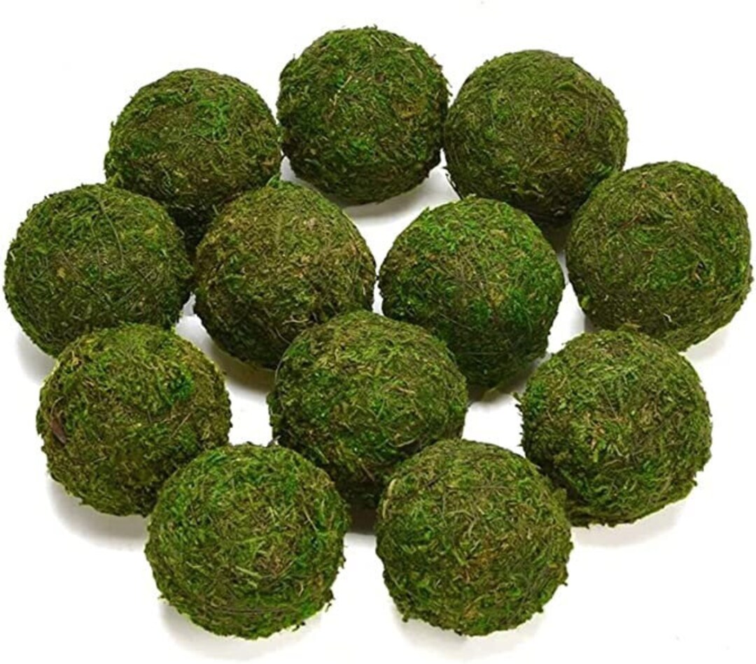 2.5 Moss Balls Set of 12, Preserved Moss Ball Orb Sphere, Bowl Filler ...