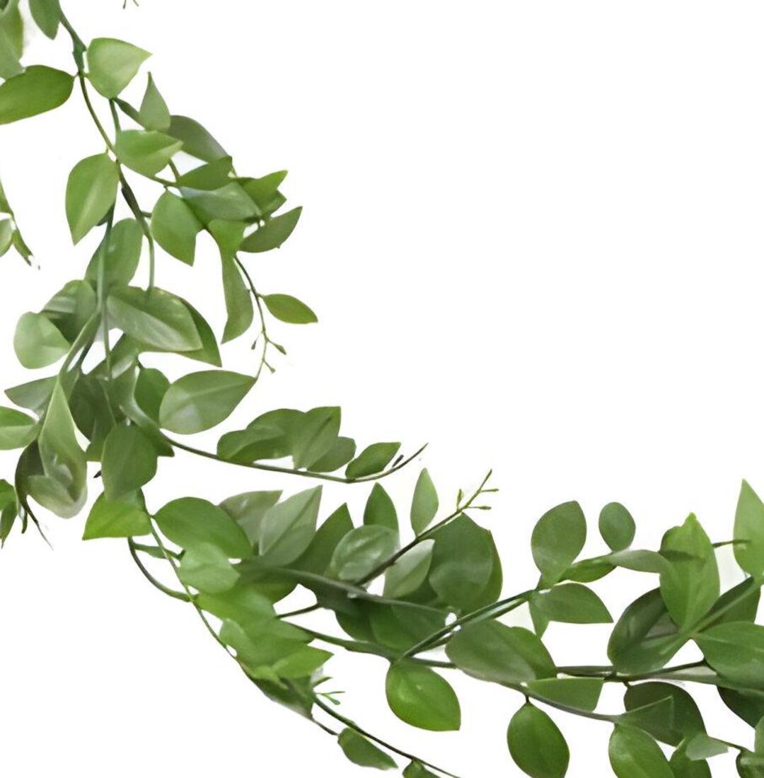6 FT Faux Mountain Laurel Leaf Greenery Garland - Etsy