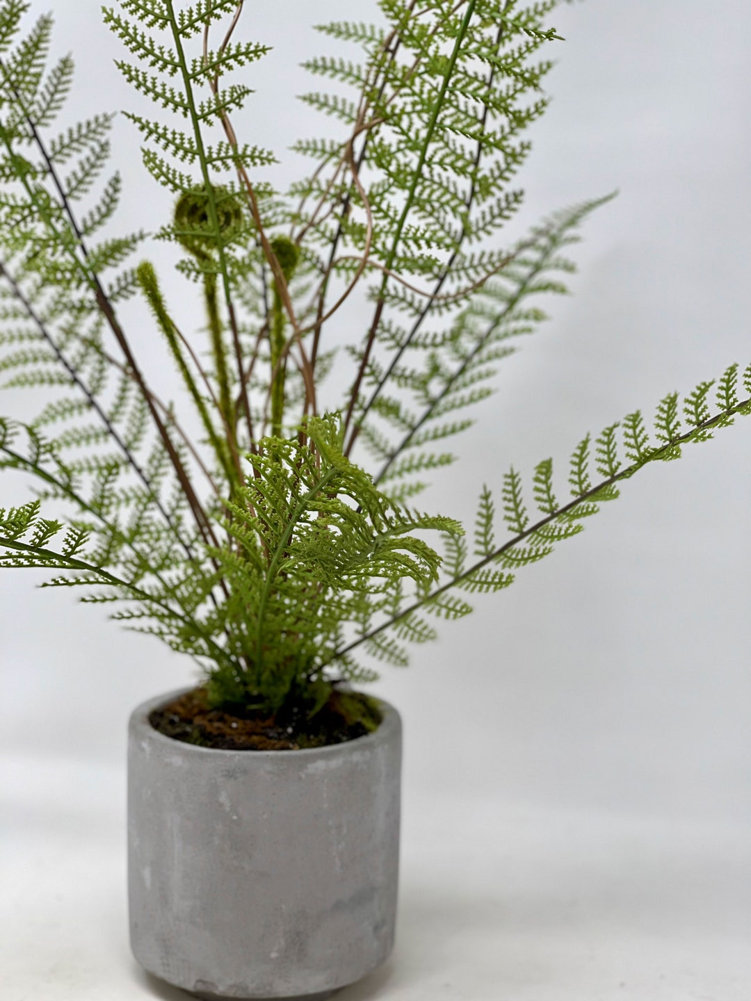 23" Faux Potted Fern in Cement Concrete Planter, Artificial Potted ...