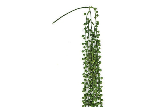 34 Artificial String of Pearls Plant-hanging - Etsy