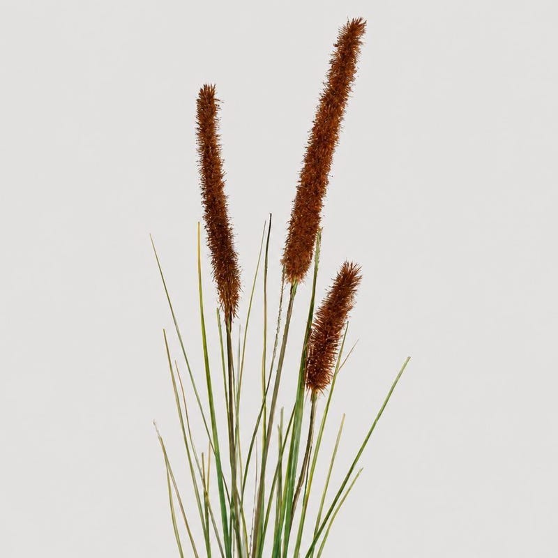 Artificial Cattails - Etsy