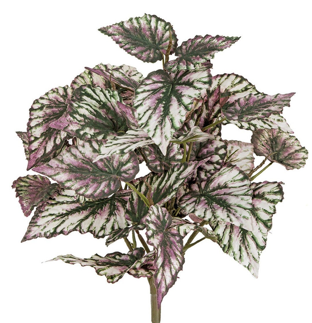 16" Faux Wax Begonia Bush, Real Touch Greenery - Etsy