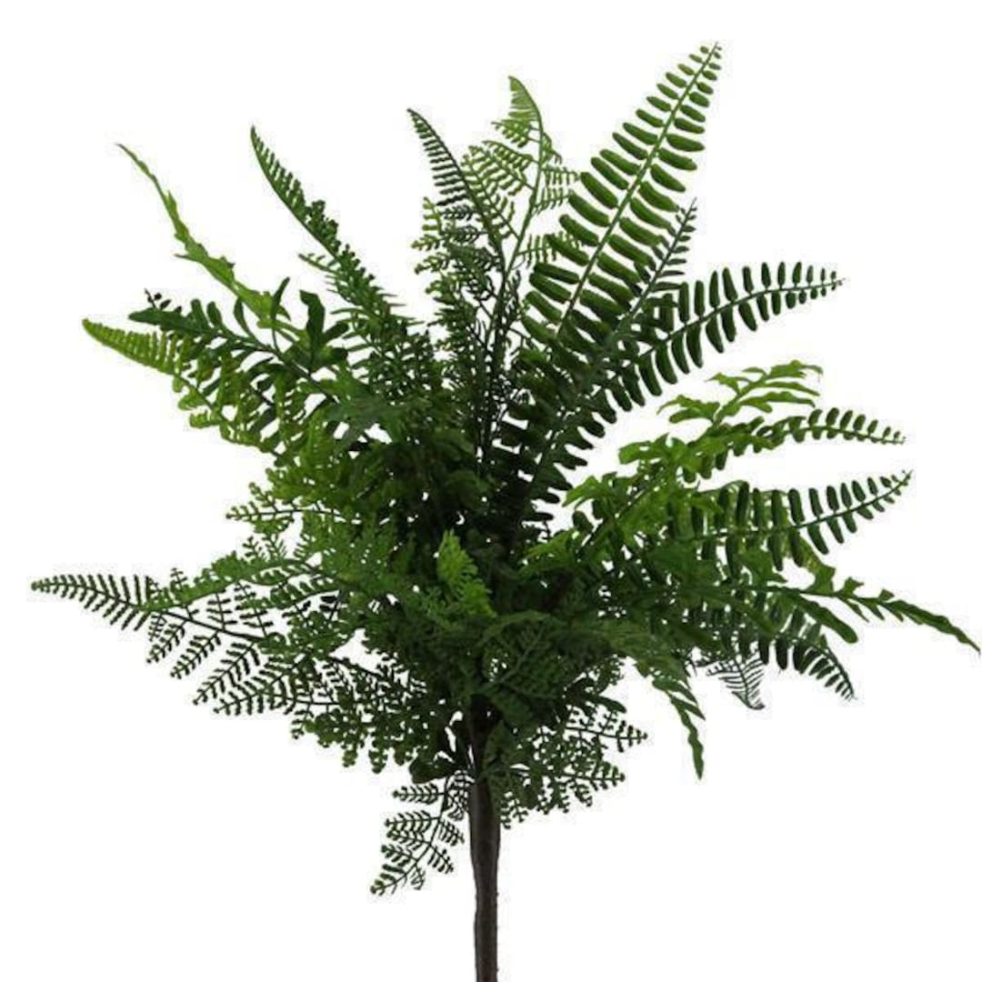 18 Artificial Fern Greenery Spray/stem/pick-everyday Filler Greenery ...