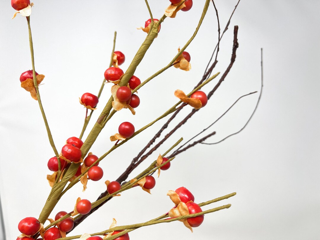 23 Fall Floral Bittersweet Berry and Wispy Twigs Floral Spray on Stem ...