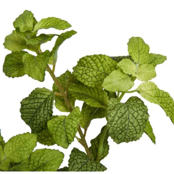 Mint Kitchen Decor - Etsy