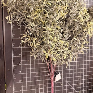 15" Artificial Fake Faux Rosemary Grass Plant/bush/stem/spray-kitchen ...