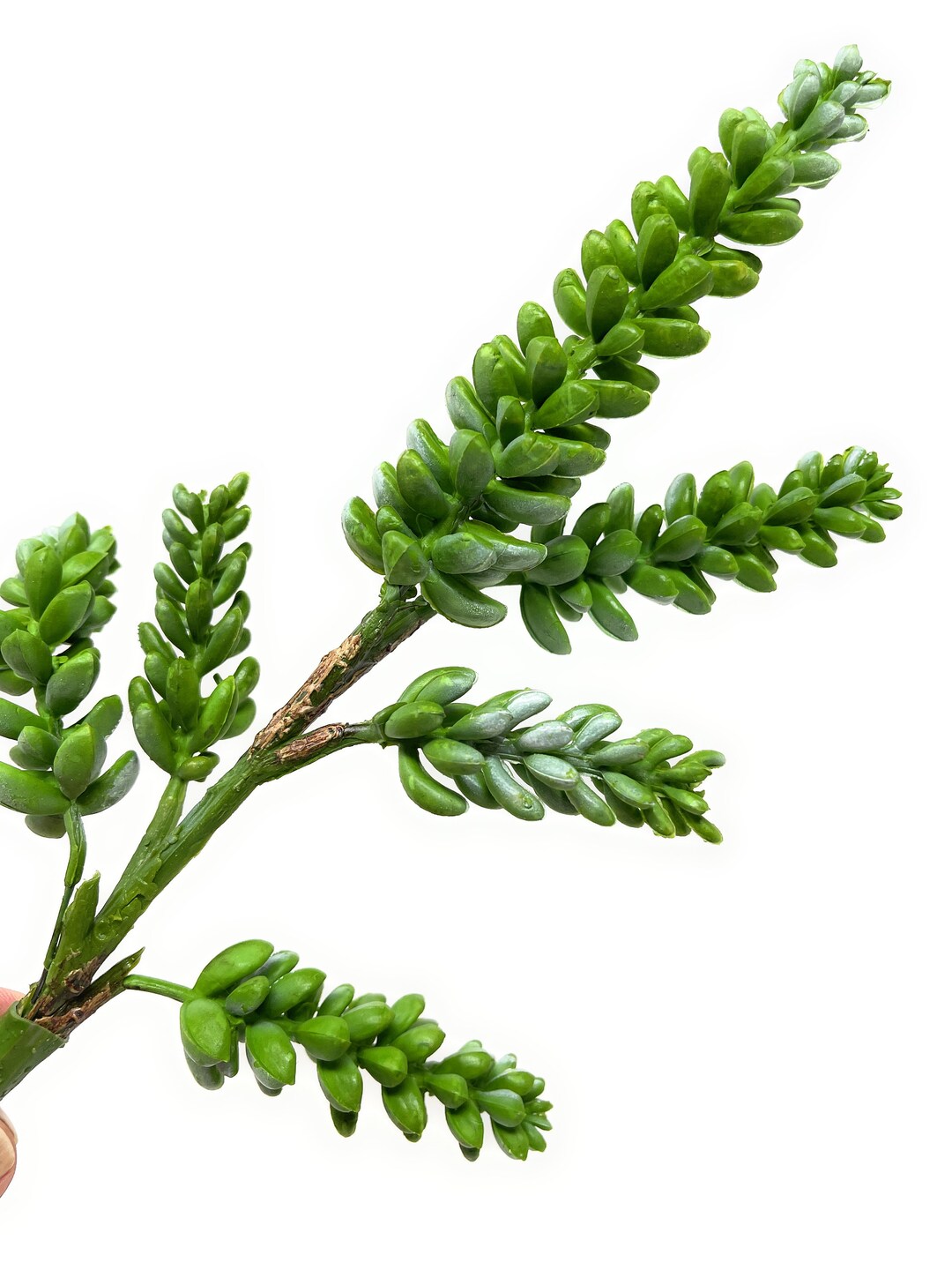 13" LARGE Artificial Sedum Succulent Flower Pick in Green-faux ...