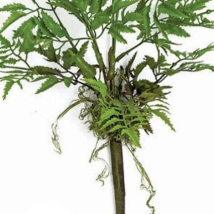 20" Natural Touch Fern Leaf Aralia Spray With Roots - Etsy