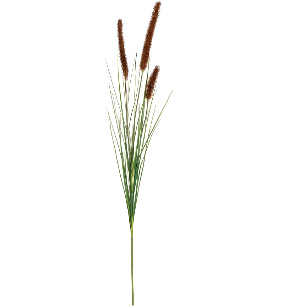 Artificial Cattail Grass Plant, Vase or Planter Filler (34 Inch) - Etsy