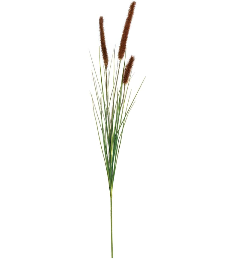 Artificial Cattail Grass Plant, Vase or Planter Filler (34 Inch) - Etsy