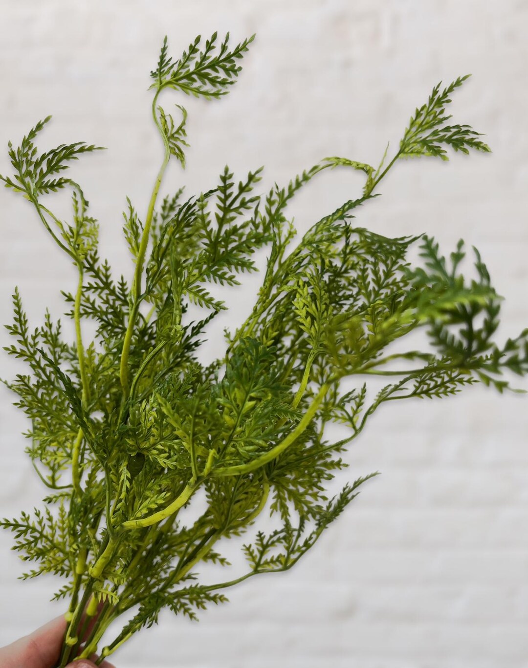 15" Badium Fern Leaf Spray, Fern Stems - Etsy Canada