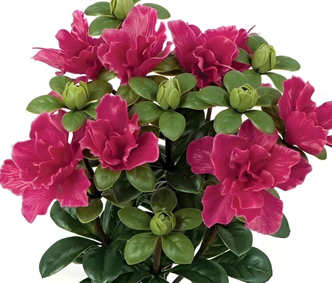 UV Resistant Outdoor Azalea Bush Fuchsia, Artificial Flowering Plant 14 ...