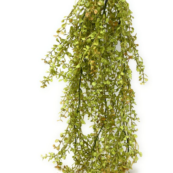 Hanging Greenery - Etsy