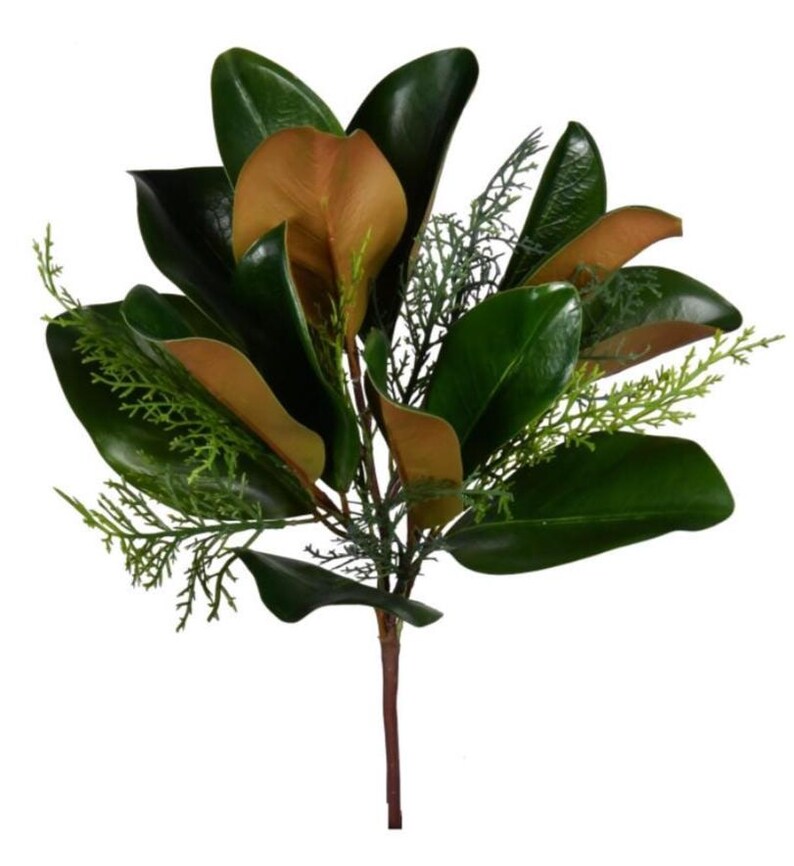 16" Magnolia Leaf Stems, Christmas Stems, Evergreen Holiday Winter ...