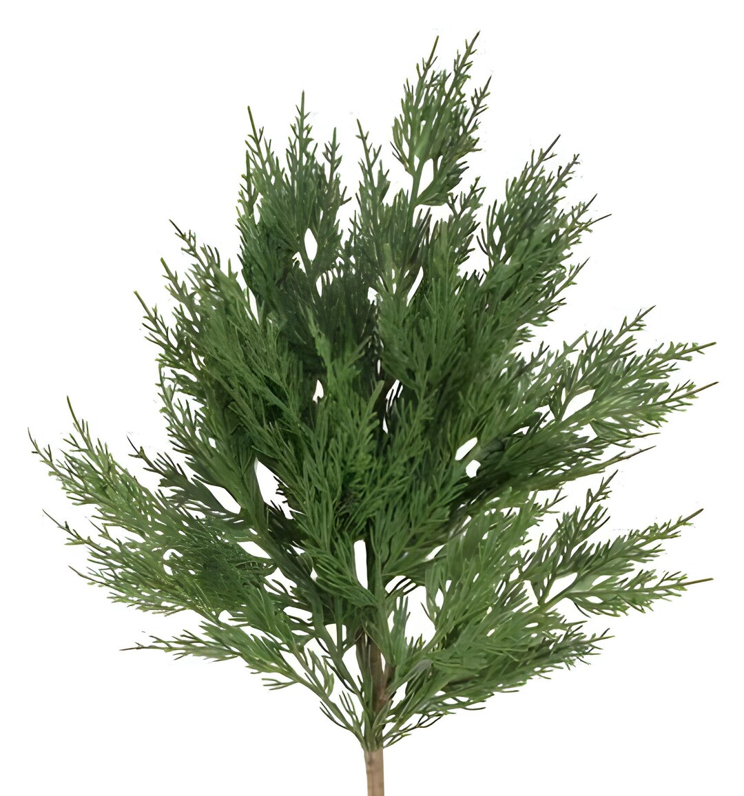 Faux Cedar Branch Stems, Christmas Winter Filler Greenery - CHOOSE SIZE ...