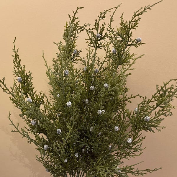 Juniper Home Decor - Etsy