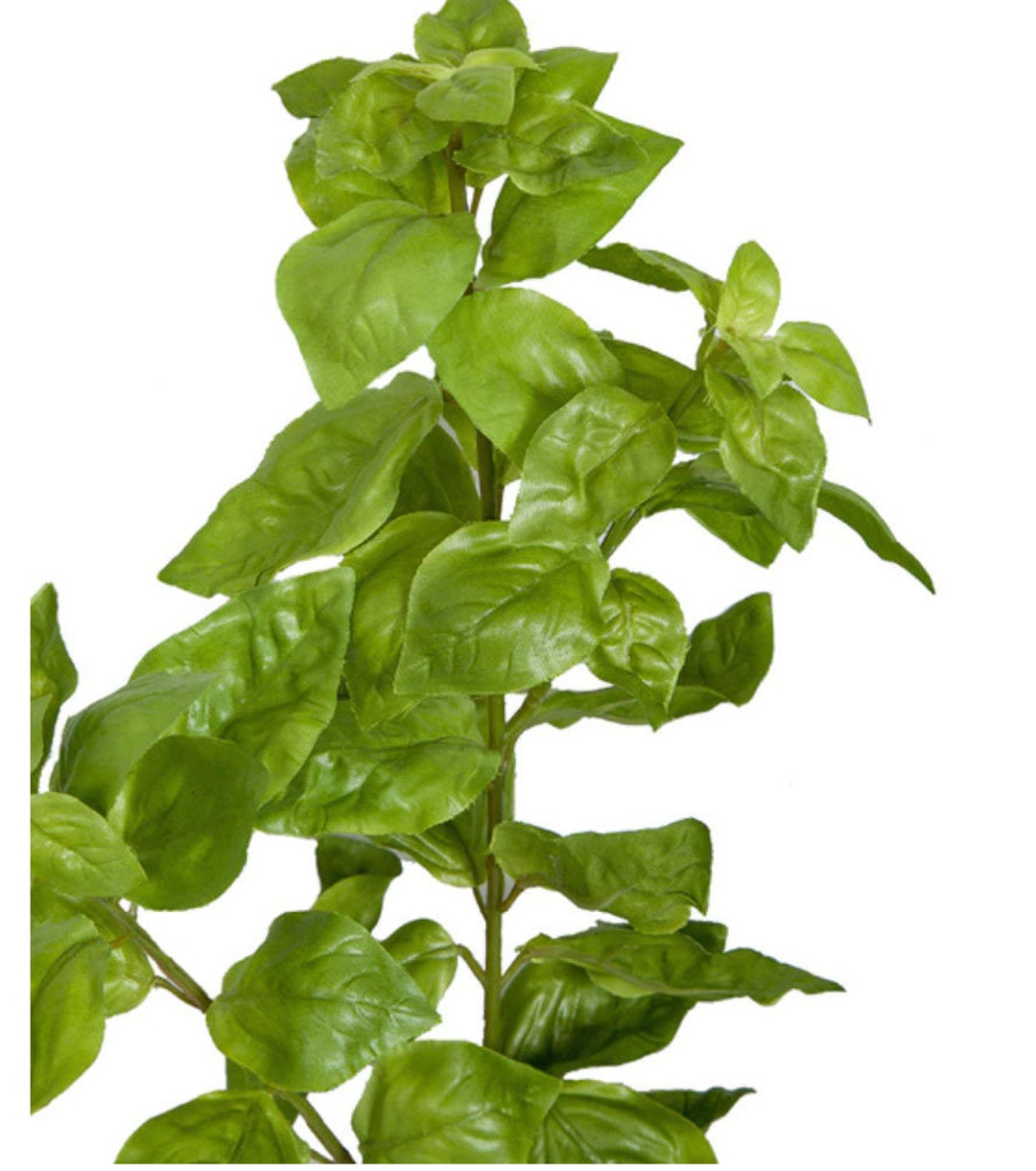 Faux Basil Plant, Artificial Herbs, Kitchen Decor - Etsy