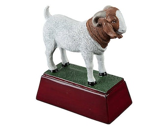 G.O.A.T. Greatest of All Time Trophy, With 4 Lines of Custom Engraved ...