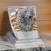Wolf Trophy | Engraved Wolf Mascot Award by DECADE AWARDS - Etsy