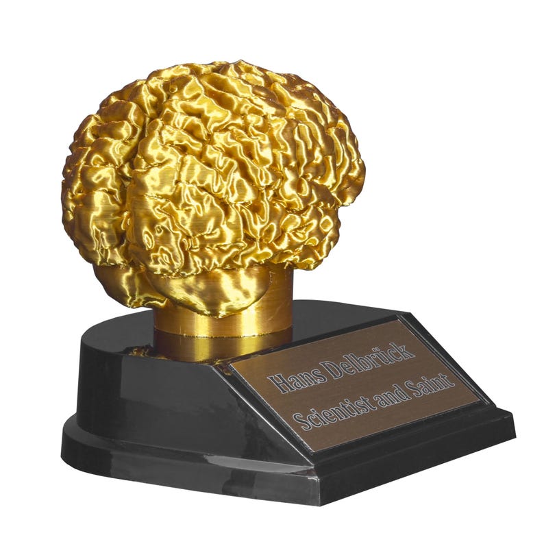 Golden Brain Trophy: Creative Thinking Award With Free Custom Engraving ...