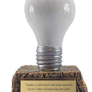 Light Bulb Trophy - Great Idea Award - School - Corporate - Business ...