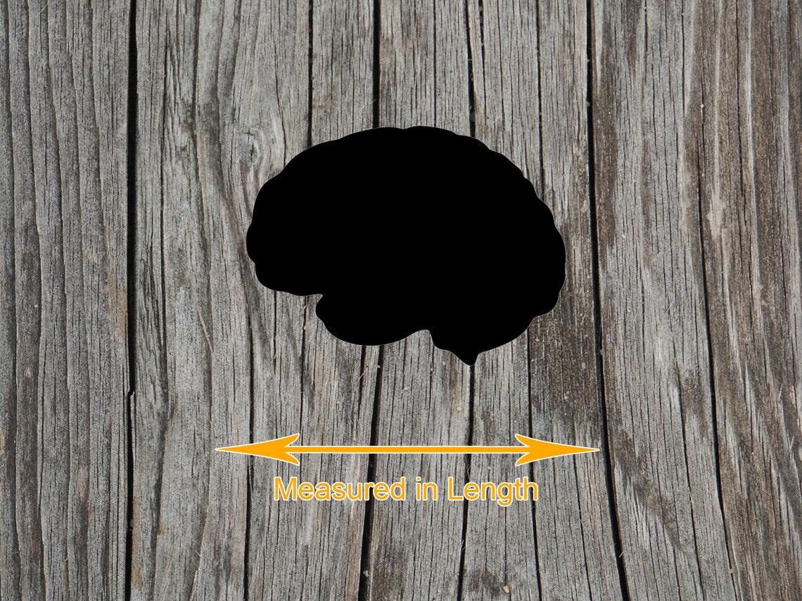 Brain - Halloween - Laser Cut Unfinished Wood Cutout Shapes - Always ...