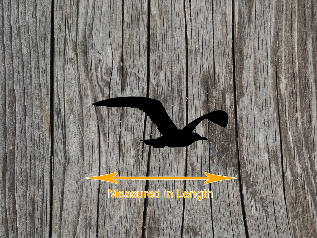 Seagull Laser Cut Unfinished Wood Cutout Shapes Always - Etsy