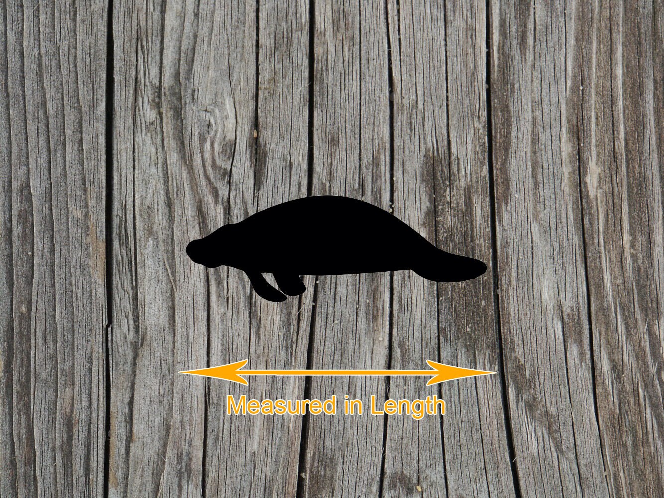 Manatee Laser Cut Unfinished Wood Cutout Shapes Always - Etsy