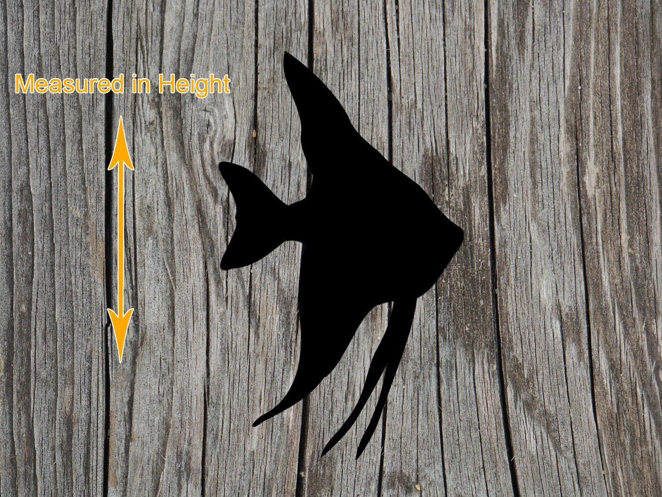 Angelfish Shape Laser Cut Unfinished Wood Cutout Shapes | Etsy