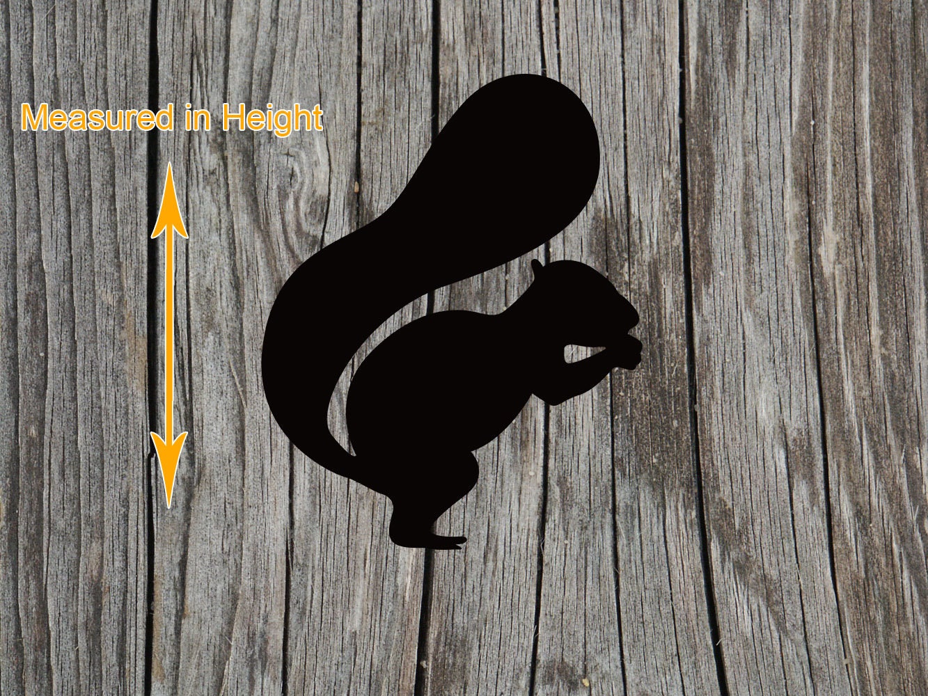Squirrel Shape - Wildlife - Laser Cut Unfinished Wood Cutout Shapes ...