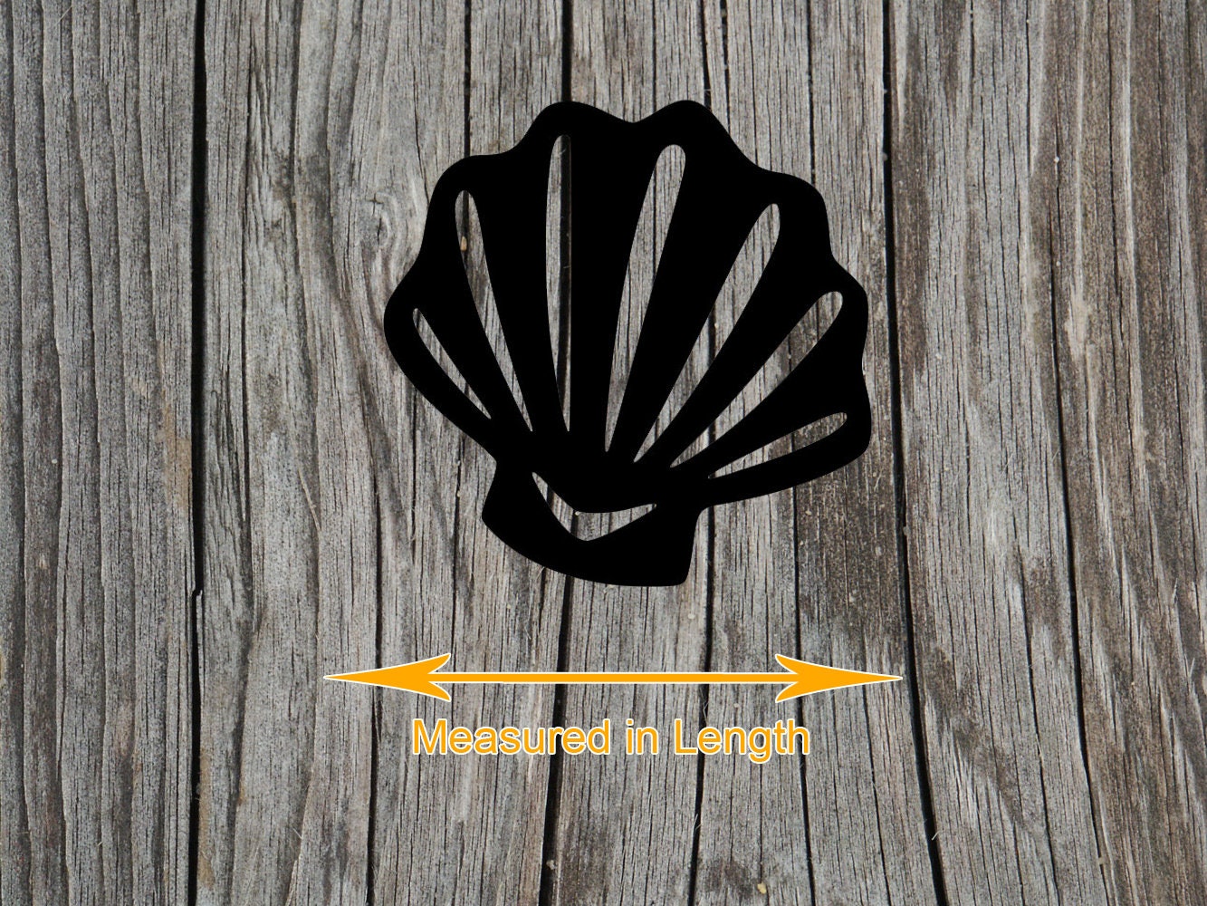 Shell Shape Laser Cut Unfinished Wood Cutout Shapes Always - Etsy