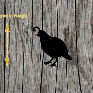 Quail Shape - Laser Cut Unfinished Wood Cutout Shapes - Always Check ...