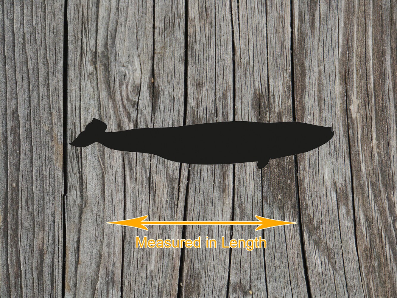 Whale - Laser Cut Unfinished Wood Cutout Shapes - Always Check Sizes ...