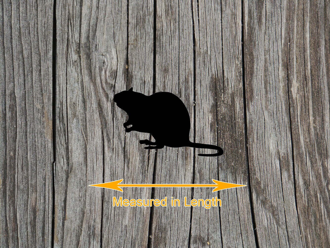 Rat Shape Laser Cut Unfinished Wood Cutout Shapes Always - Etsy