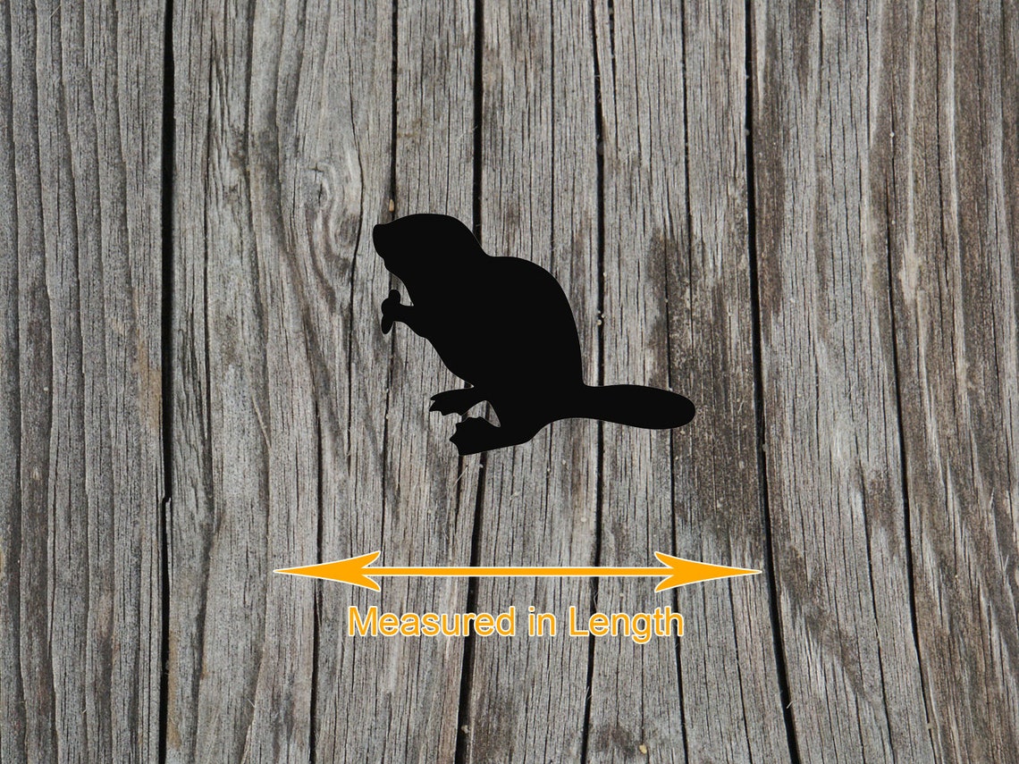 Beaver - Wildlife - Laser Cut Unfinished Wood Cutout Shapes - Always ...
