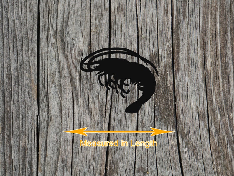 Shrimp - Laser Cut Unfinished Wood Cutout Shapes - Always Check Sizes ...