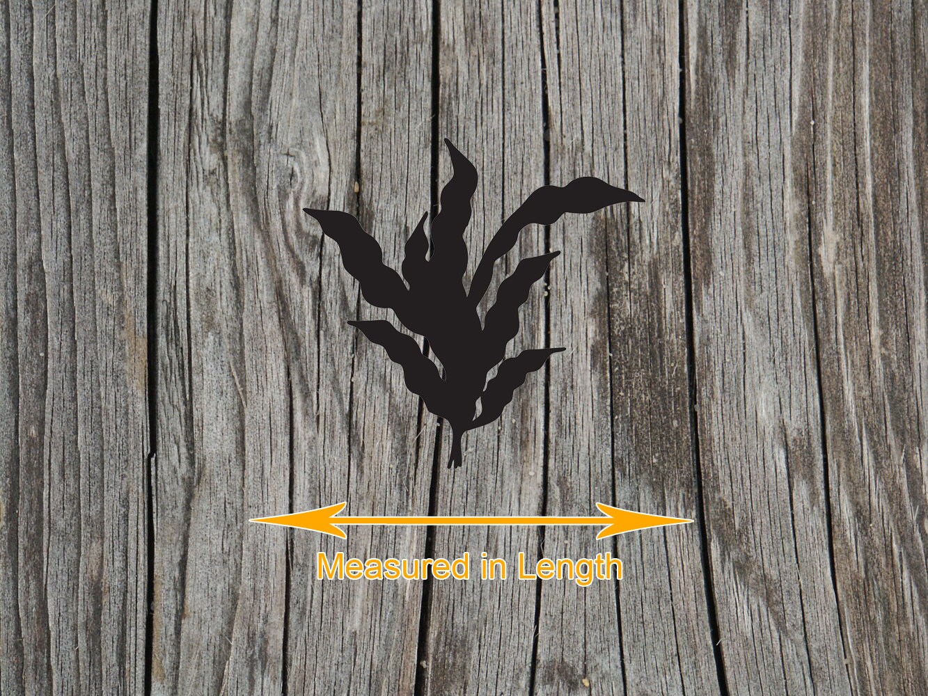 Seaweed Shape Laser Cut Unfinished Wood Cutout Shapes - Etsy