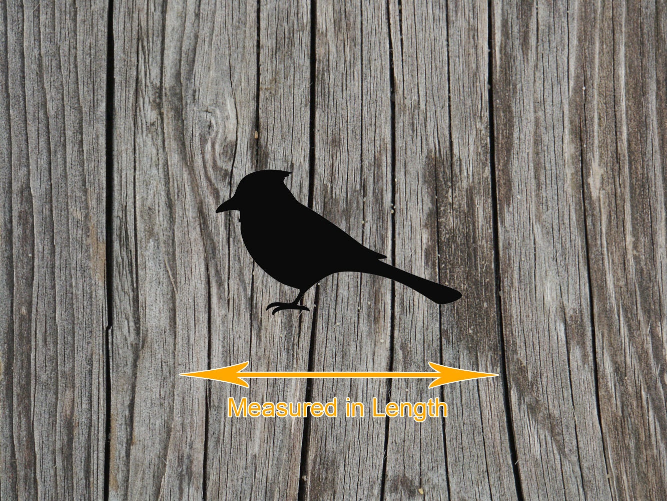 Blue Jay Bird Laser Cut Unfinished Wood Cutout Shapes - Etsy