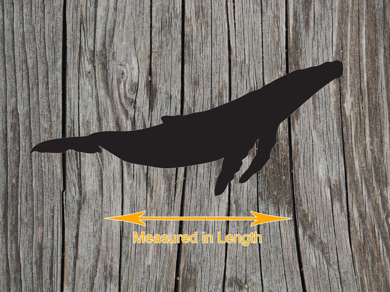 Whale Laser Cut Unfinished Wood Cutout Shapes Always Check - Etsy