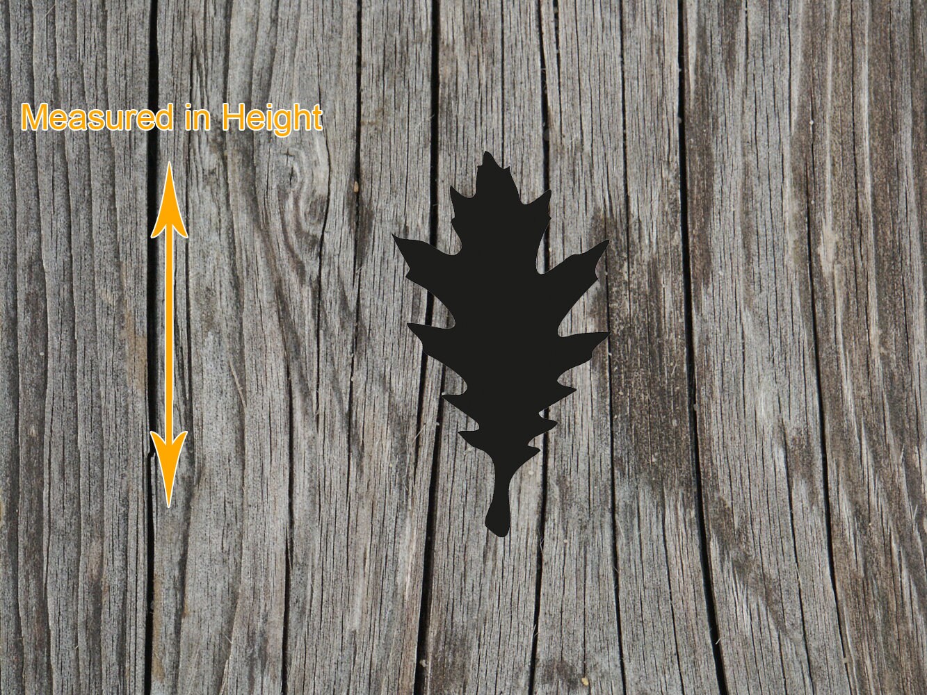 Leaf - Laser Cut Unfinished Wood Cutout Shapes - Always Check Sizes and ...