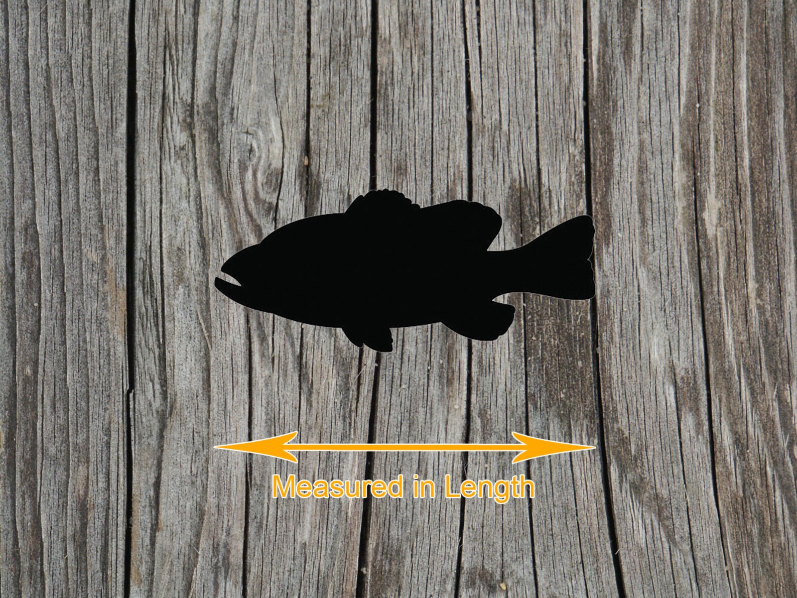 Bass Fish Laser Cut Unfinished Wood Cutout Shapes Always | Etsy