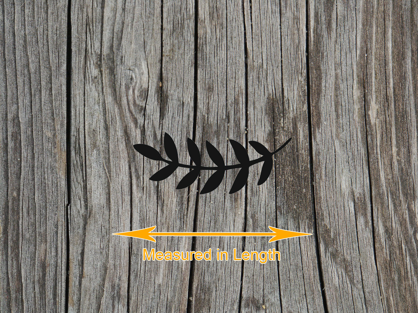 Vine Shape - Laser Cut Unfinished Wood Cutout Shapes - Always Check ...