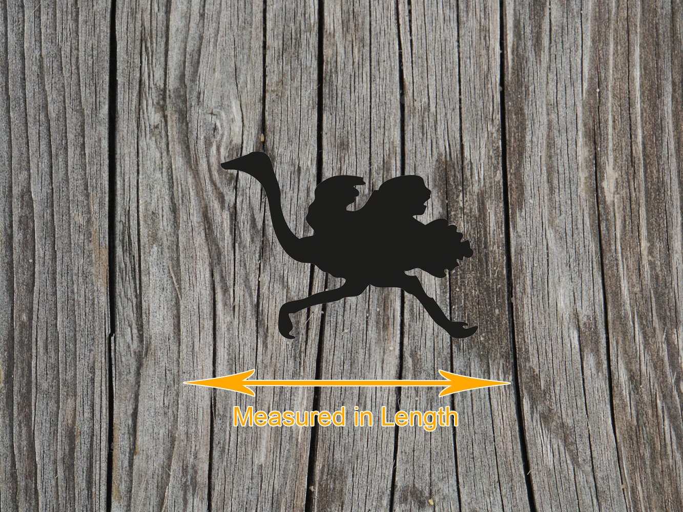 Ostrich Shape - Laser Cut Unfinished Wood Cutout Shapes - Always Check ...
