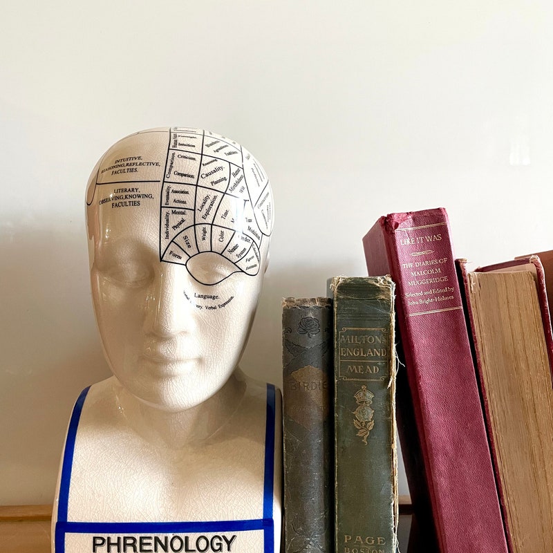 Phrenology Head - Etsy