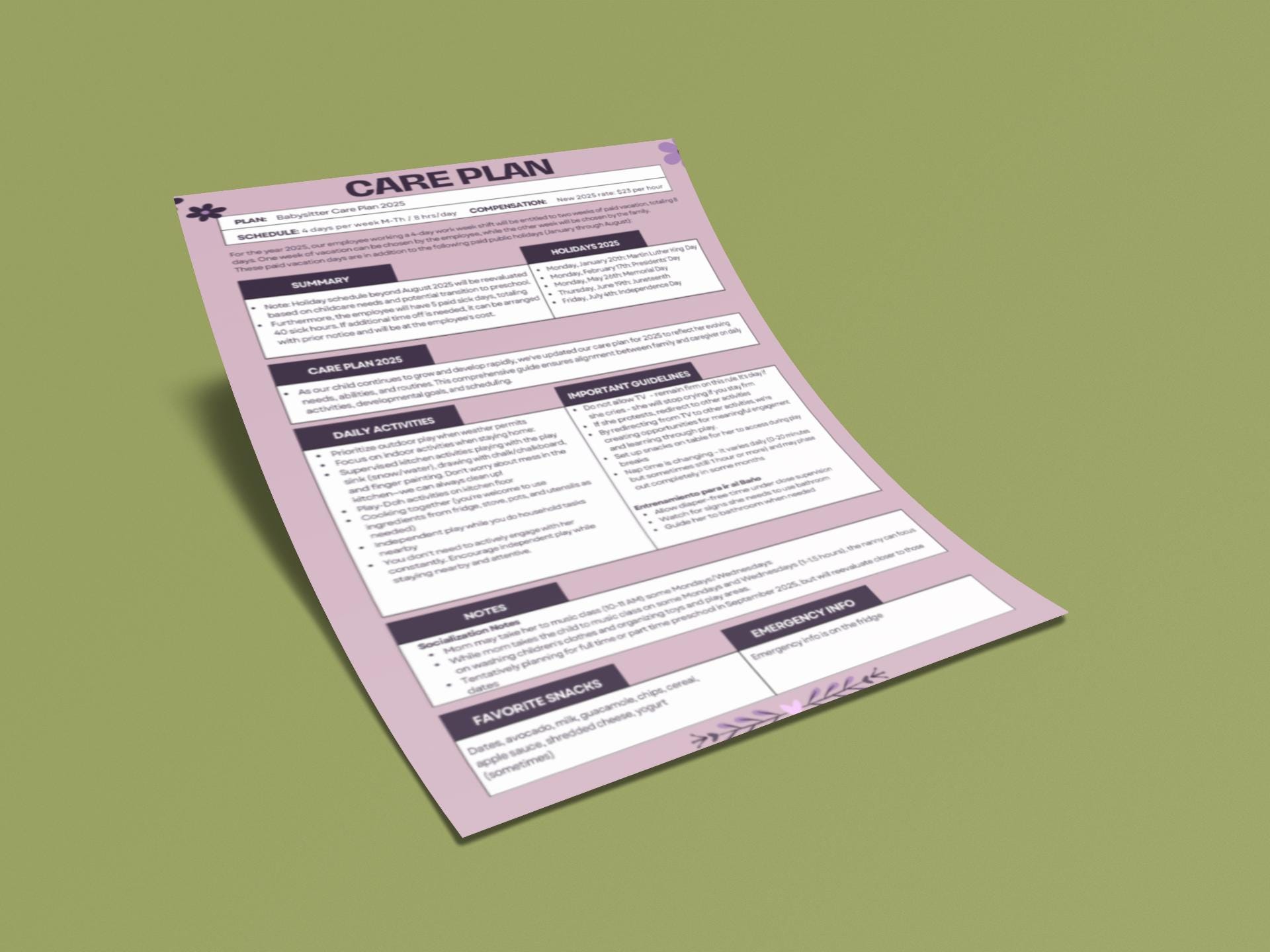Editable Canva Template Babysitter/nanny CARE PLAN - Single-page ...